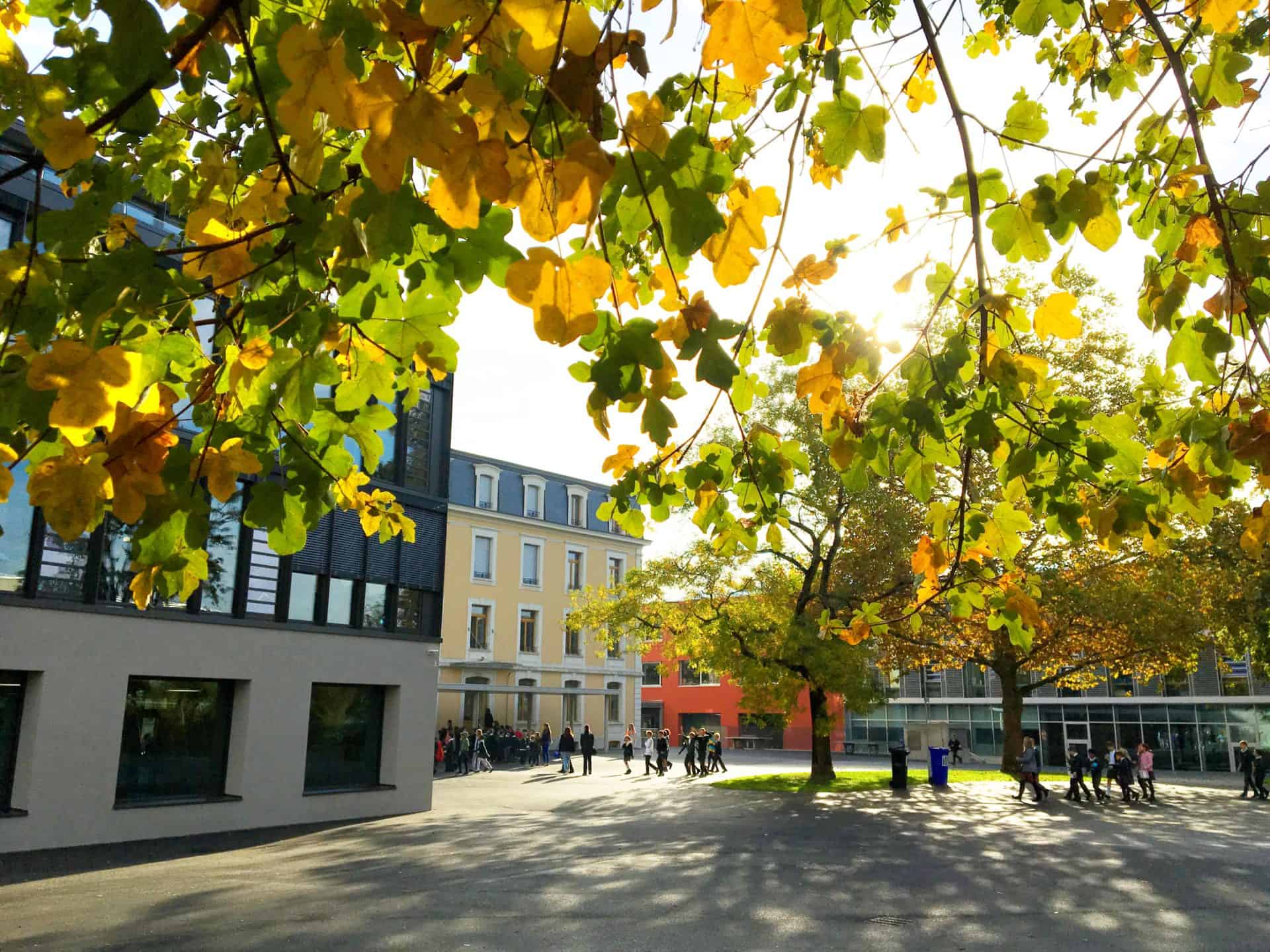 Institut International de Lancy - International School Parent