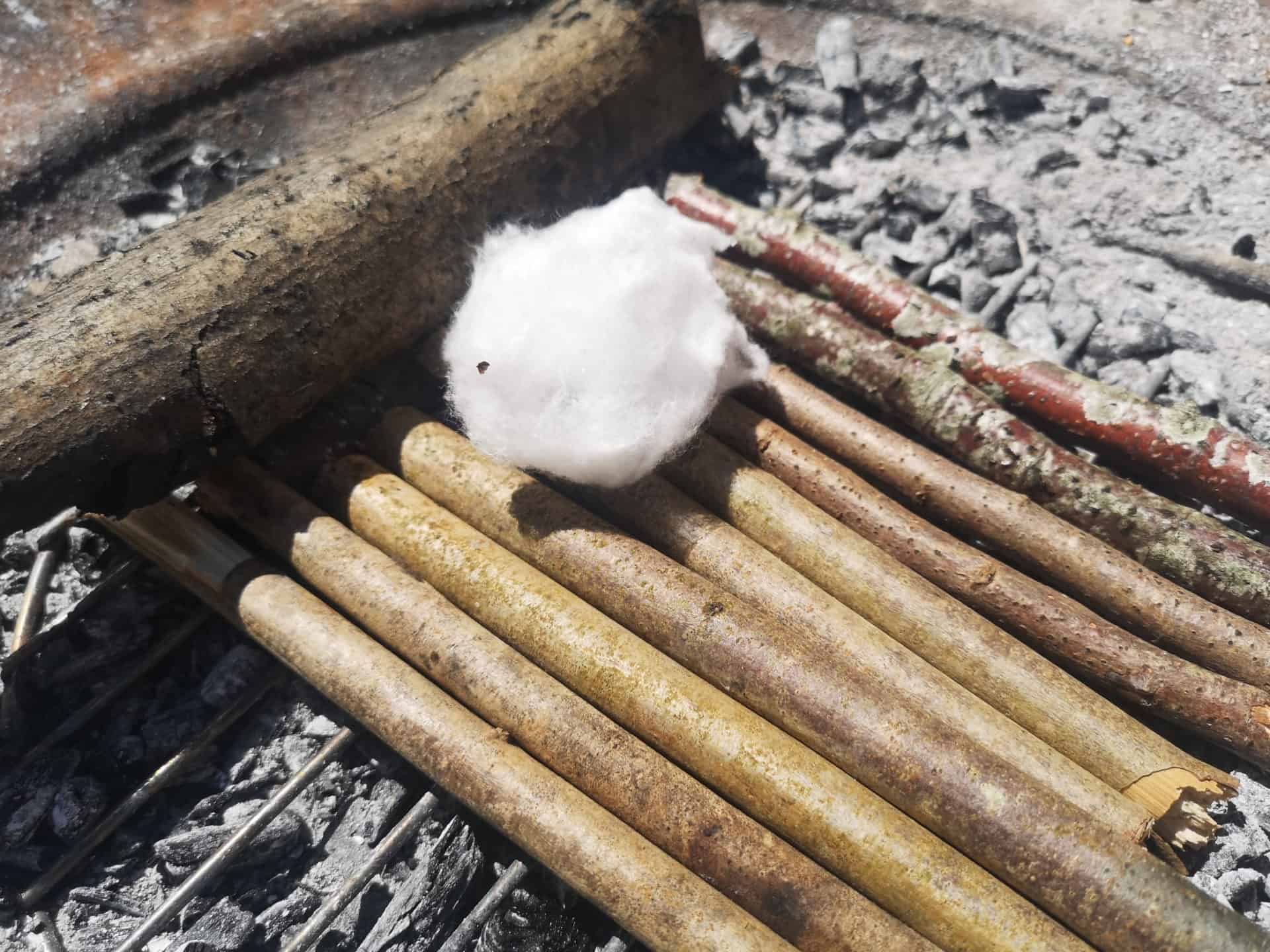 Life Skills: Building a Campfire - International School Parent