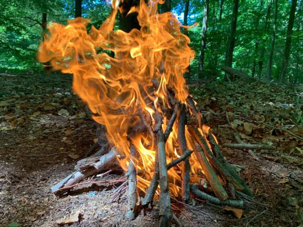 Life Skills: Building a Campfire - International School Parent