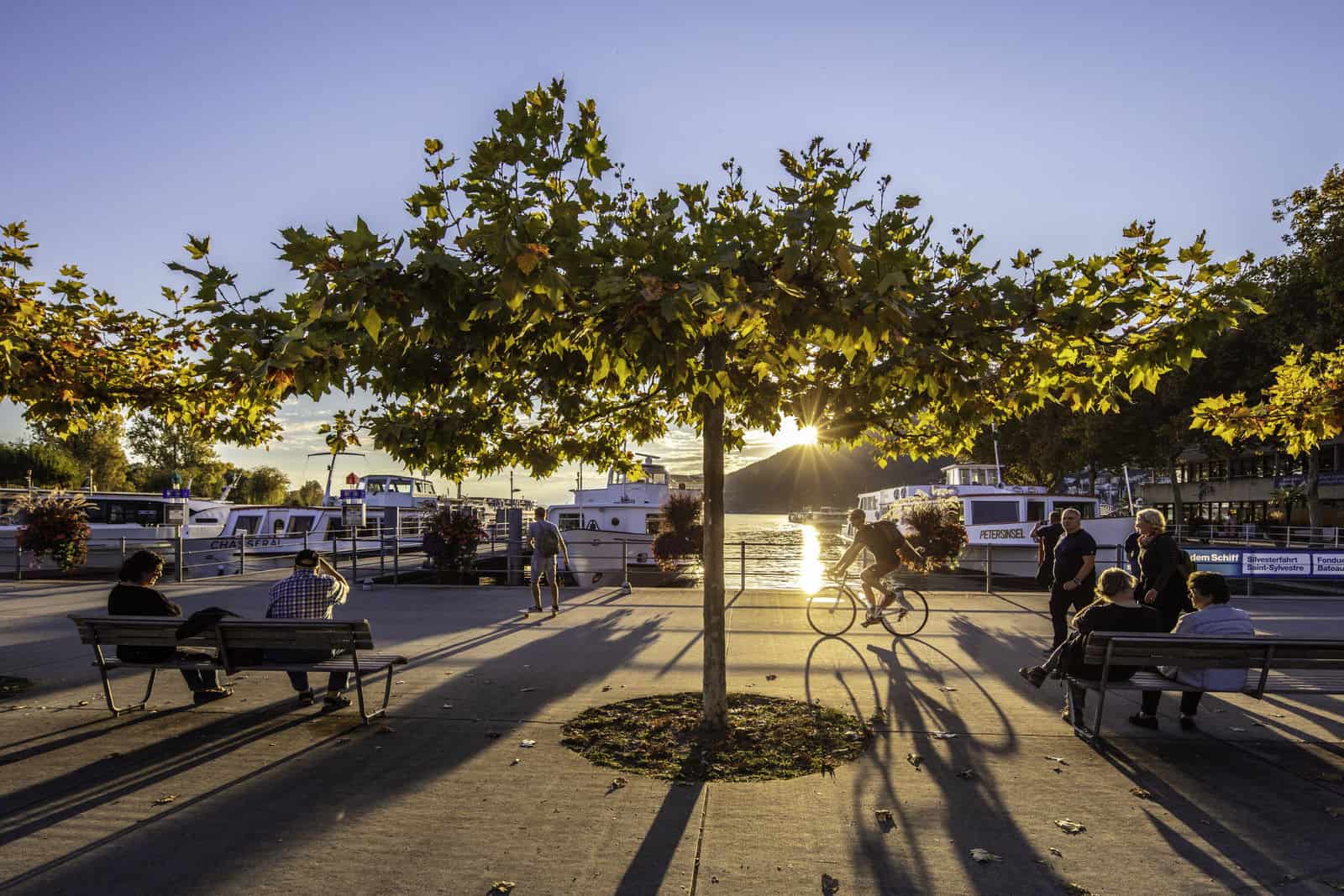 Biel: Switzerland's largest bilingual town - International School Parent