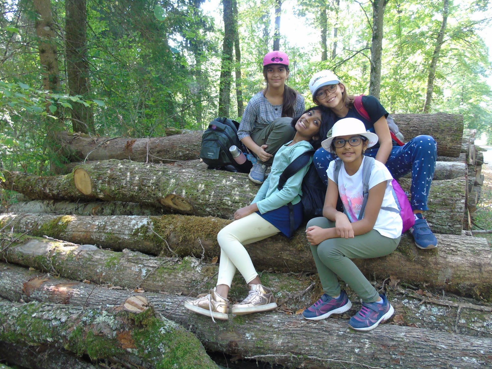 The true nature of things: Ecolint’s Forest School programme ...